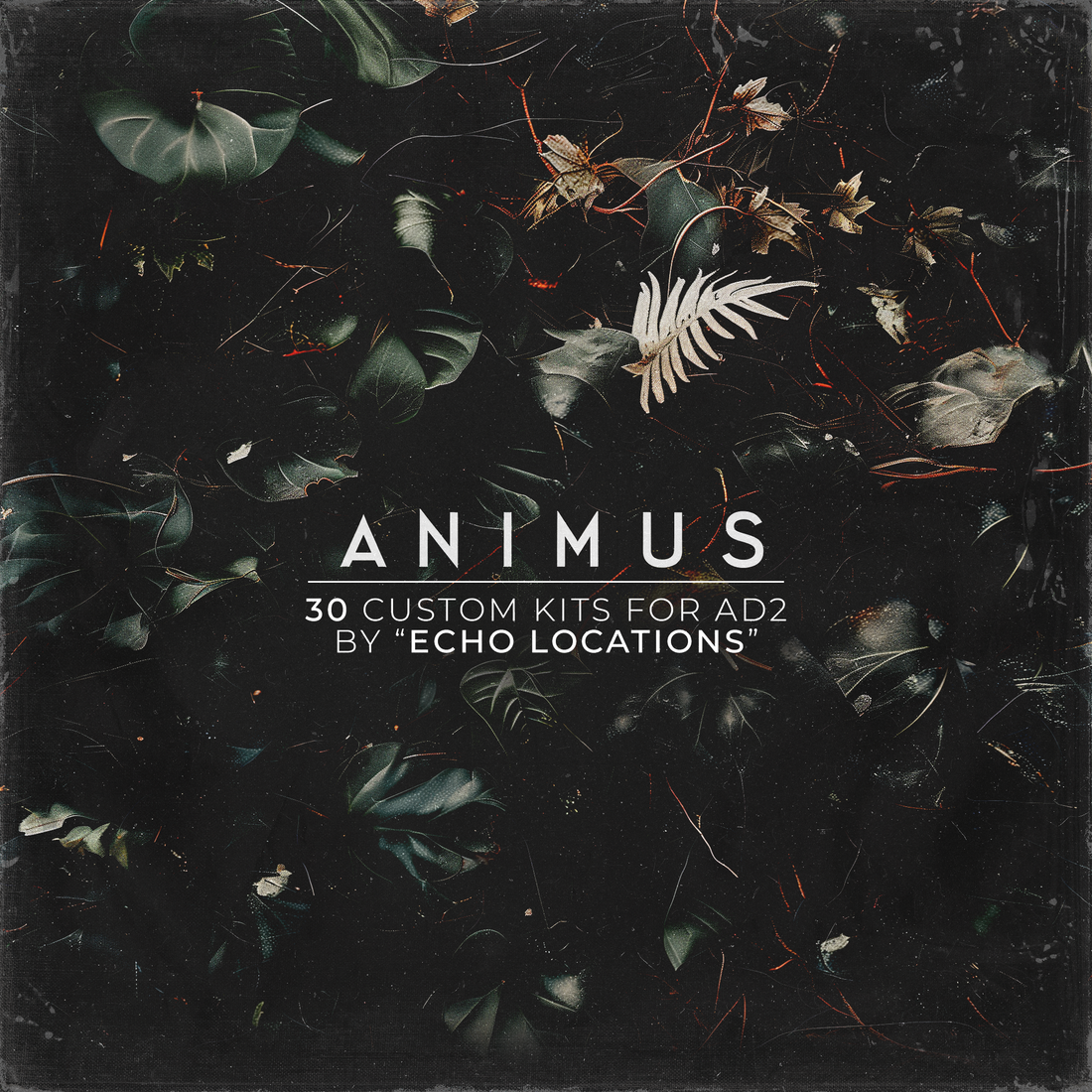 ECHO LOCATIONS - "ANIMUS" – CHIOMETRY AUDIO