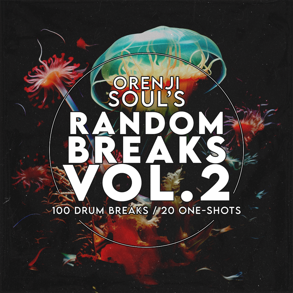 ORENJI SOUL - "RANDOM BREAKS VOL.2" – CHIOMETRY AUDIO